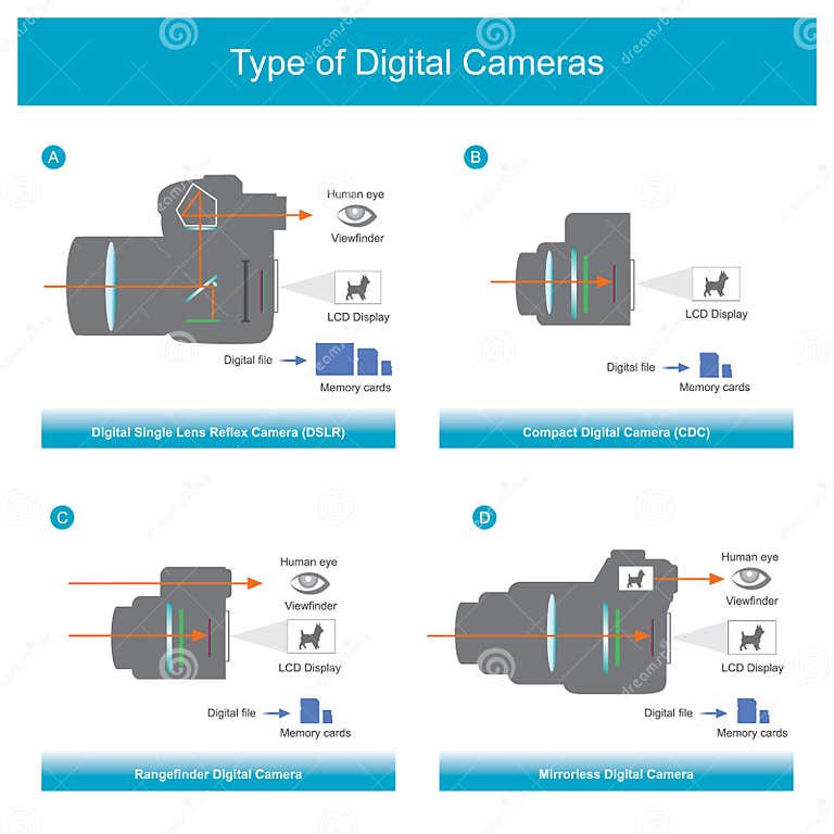 Type of Digital Cameras stock illustration. Illustration of equipment ...