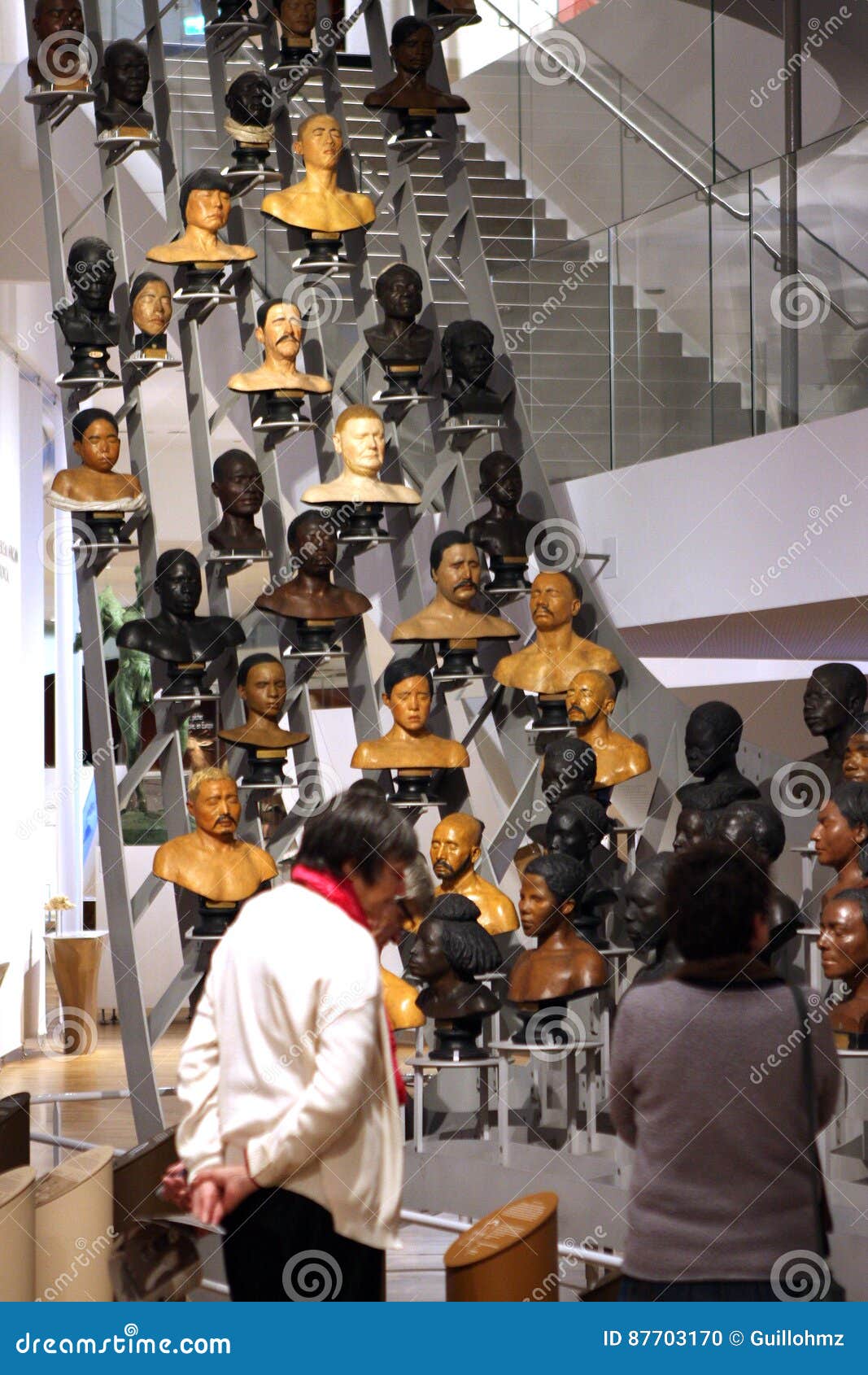 Type of human head editorial image. Image of type, bones - 87703170