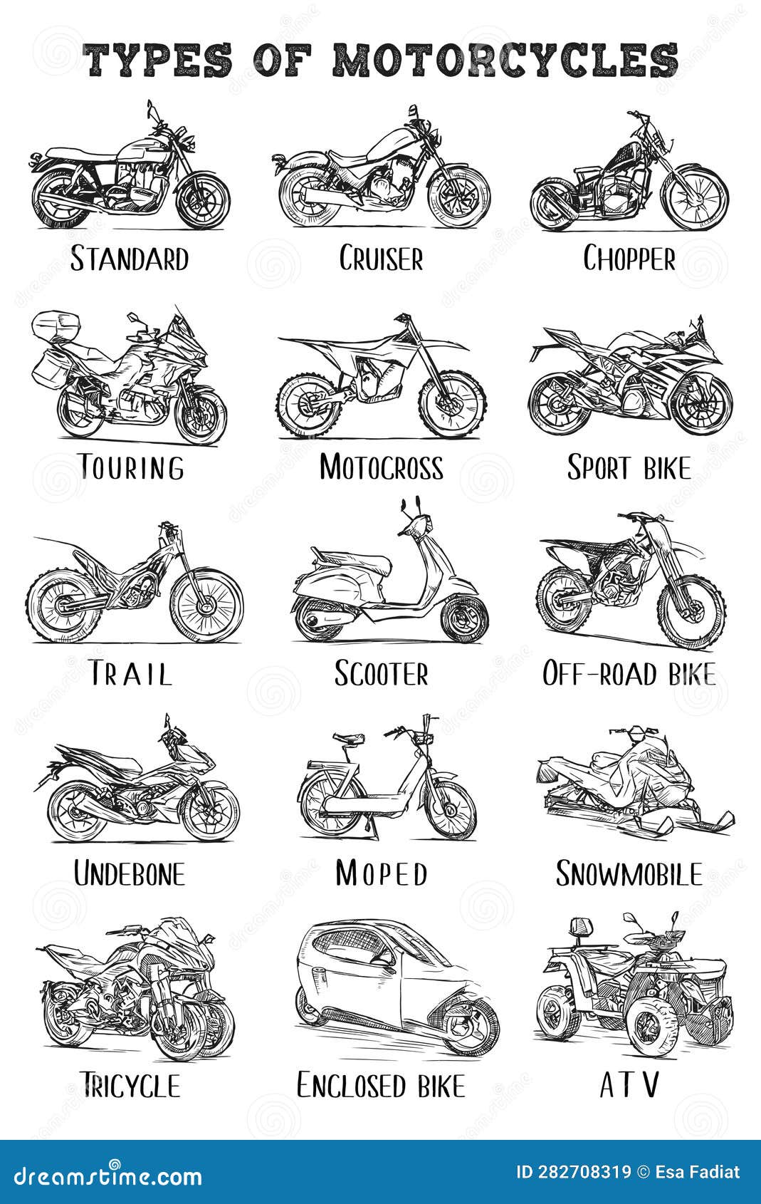 Chart Types Of Motorcycles List Of Motorcycle Parts: Know Your Bike