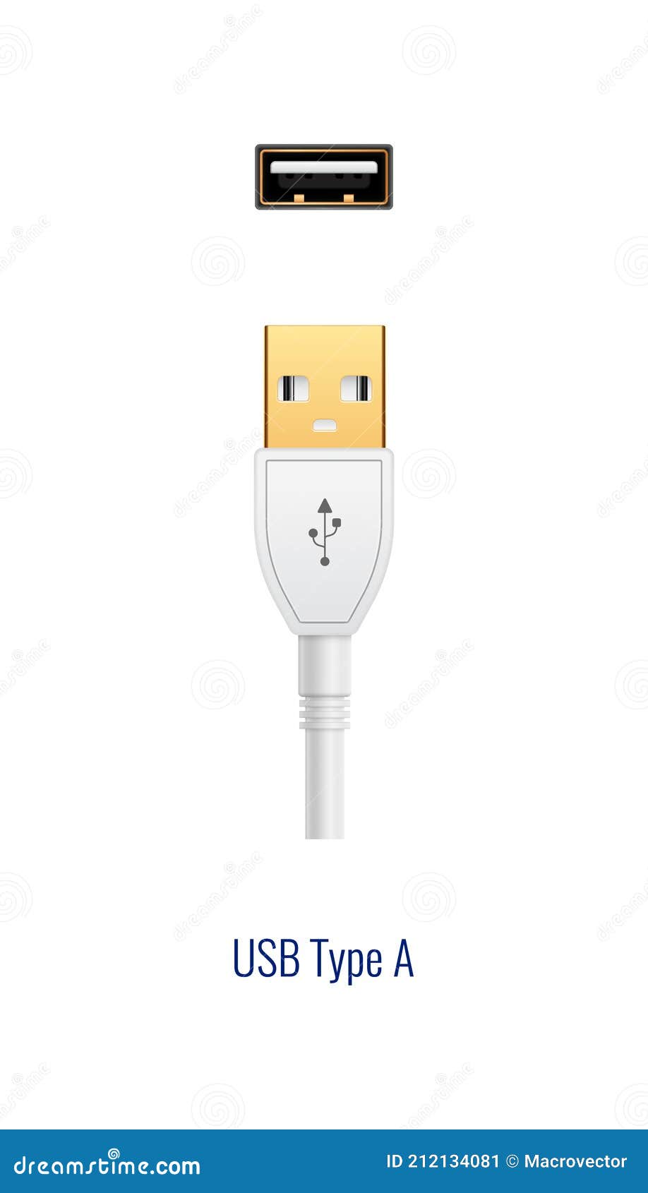 USB Type-C Connector Cartoon Vector | CartoonDealer.com #107031579