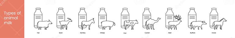 Types of Animals Milk Vector Linear Icon, Illustration of Animals ...