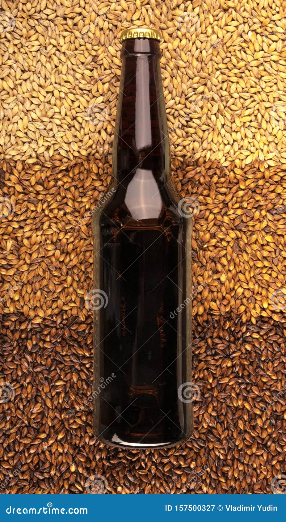 3 Types of Barley Malt for Beer. Stock Image - Image of agriculture ...
