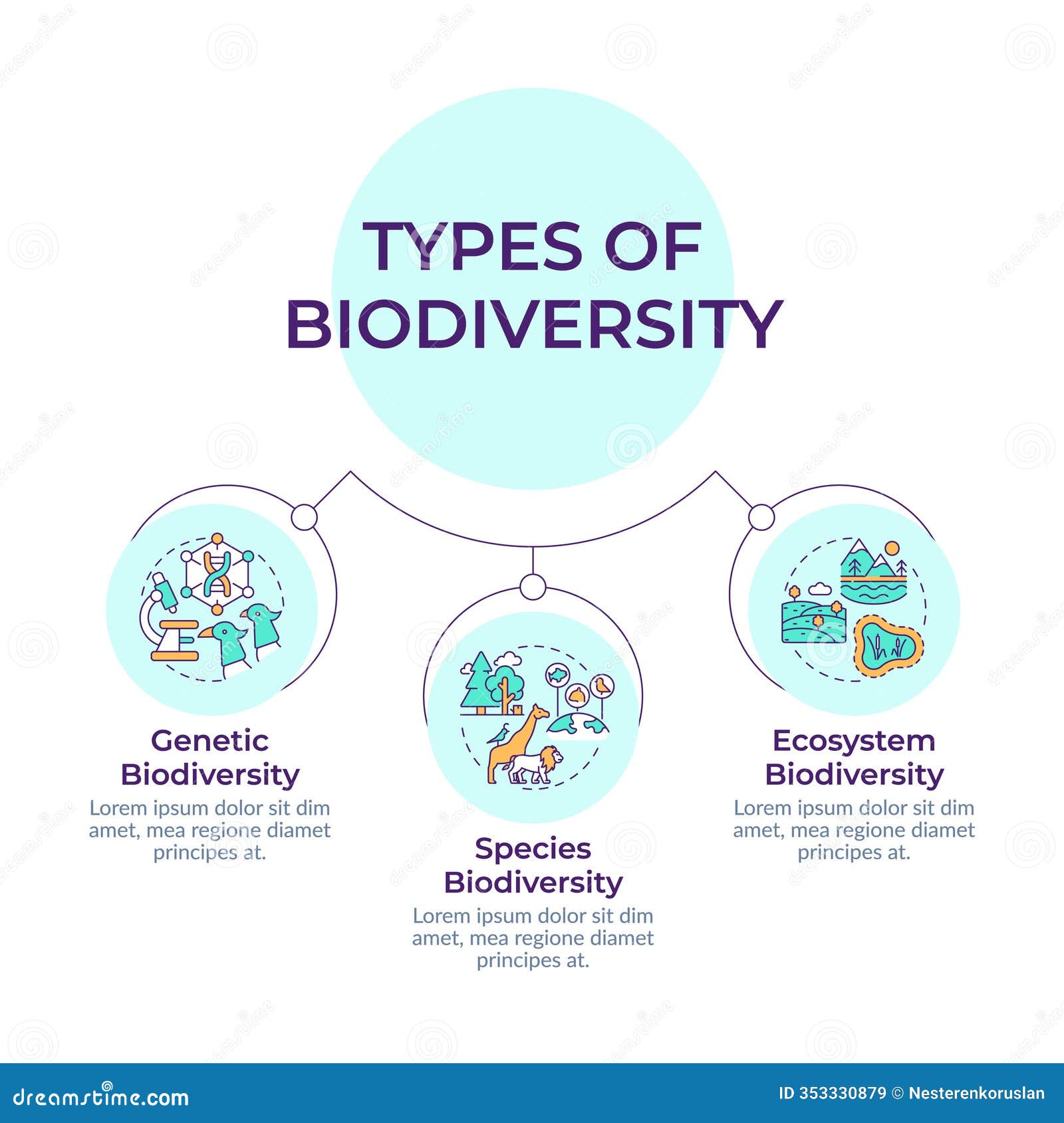 Types of Biodiversity Circular Diagram Infographic Stock Vector ...