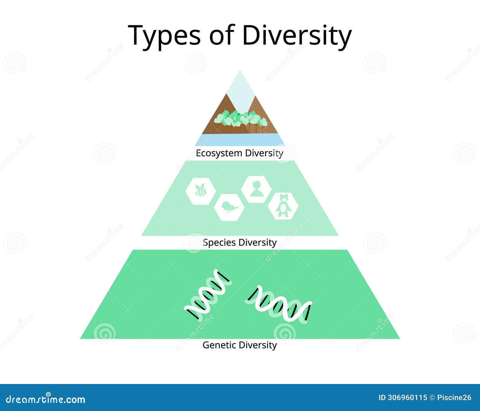 Types of Biodiversity for Ecological Biodiversity, Species, Genetic ... Types of Biodiversity for Ecological Biodiversity, Species, Genetic ...