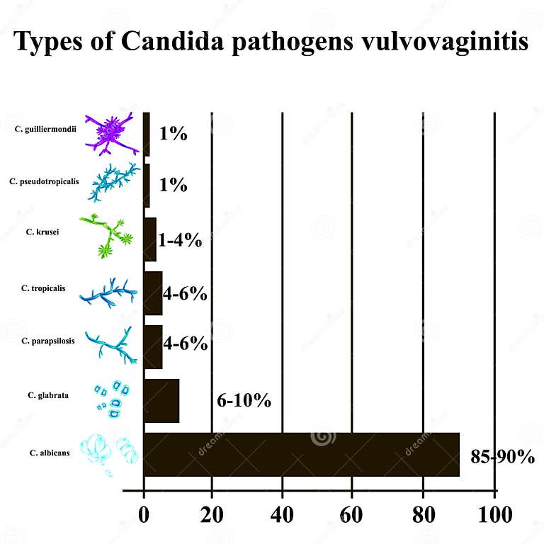 Types of Candida Pathogens Vulvovaginitis. Candida Type Morphological ...