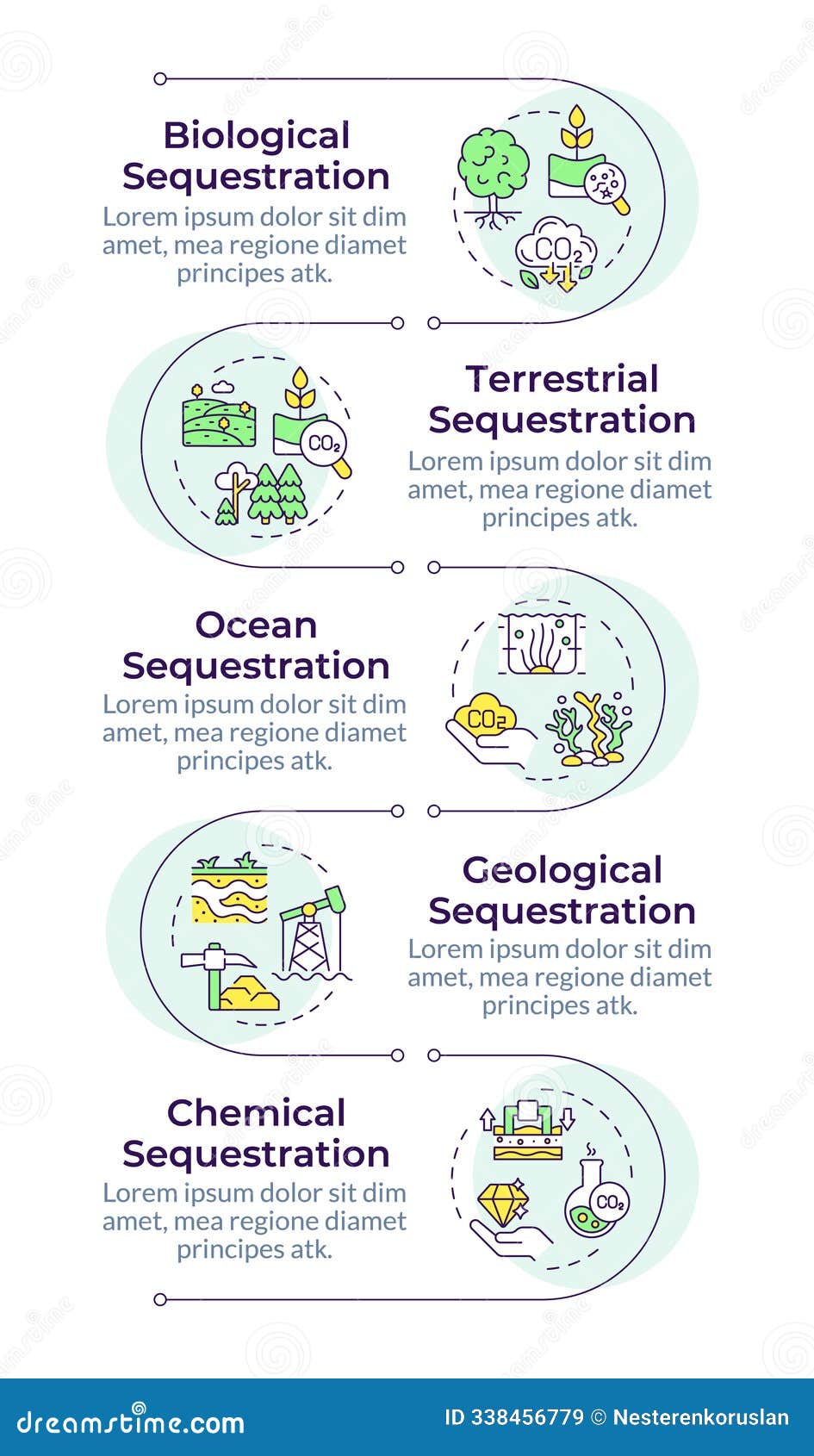 Types of Carbon Sequestration Infographic Vertical Sequence Stock ...