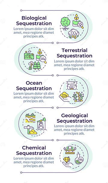 Types of Carbon Sequestration Infographic Vertical Sequence Stock ...