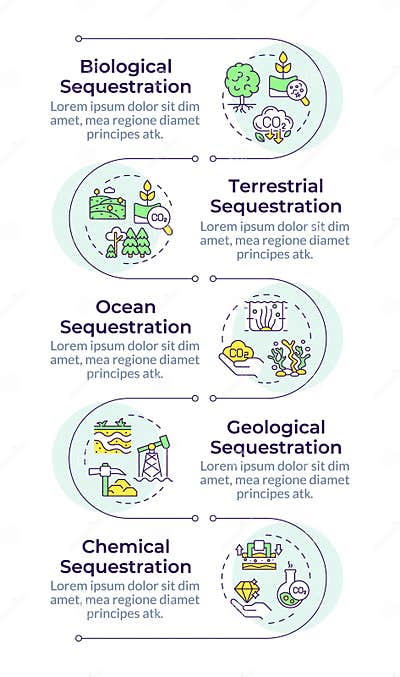 Types of Carbon Sequestration Infographic Vertical Sequence Stock ...