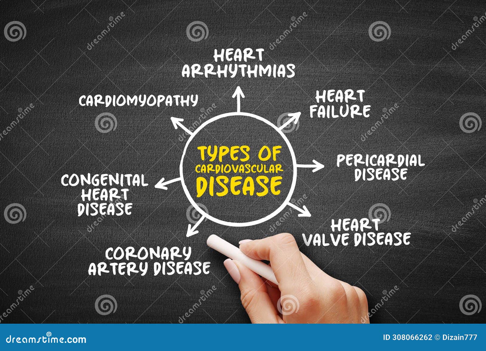 Types Of Cardiology (branch Of Medicine) Mind Map Text Concept For ...