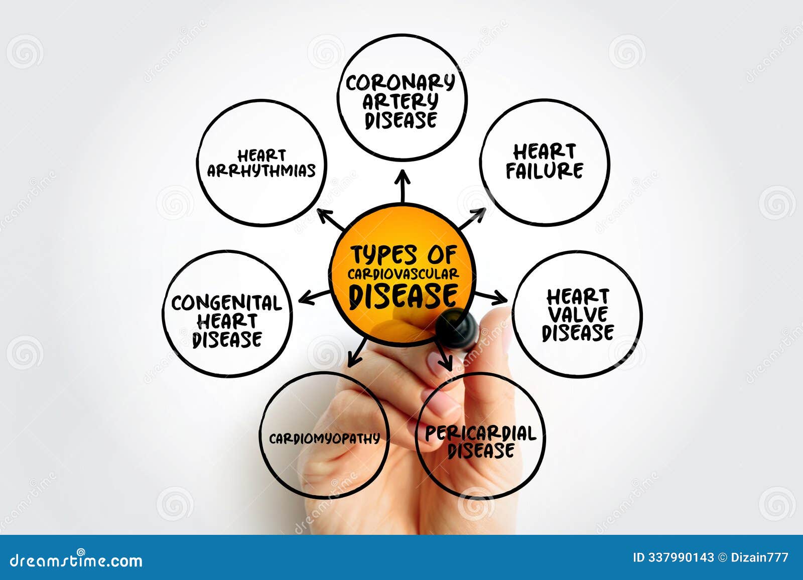 Types Of Cardiology (branch Of Medicine) Mind Map Text Concept For ...
