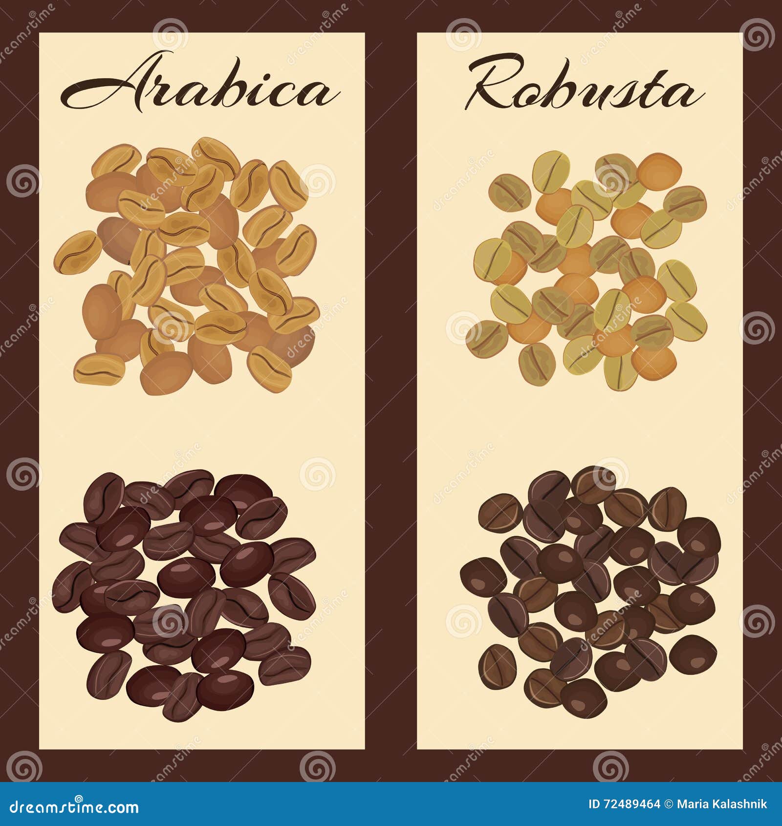Types of coffee beans. stock vector. Illustration of arabica - 72489464