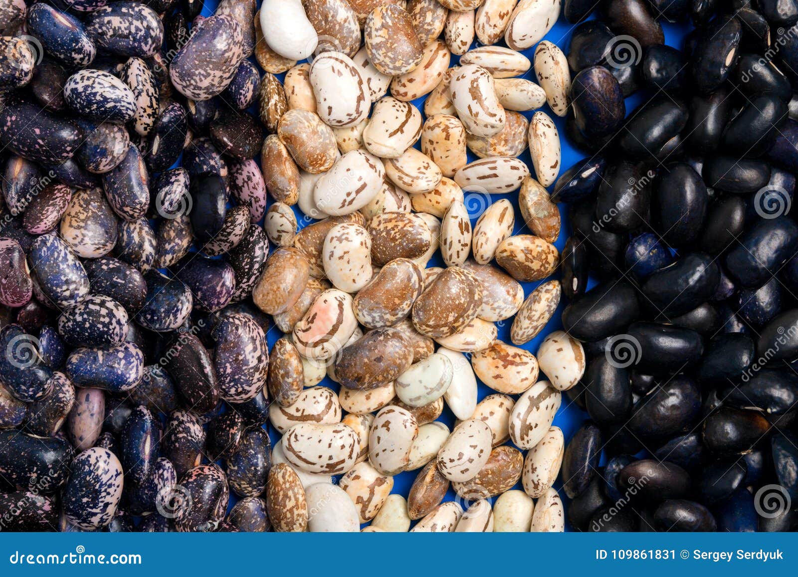 Types De Big Three De Grain De Haricot, Cosse De Haricot, Beaucoup De ...