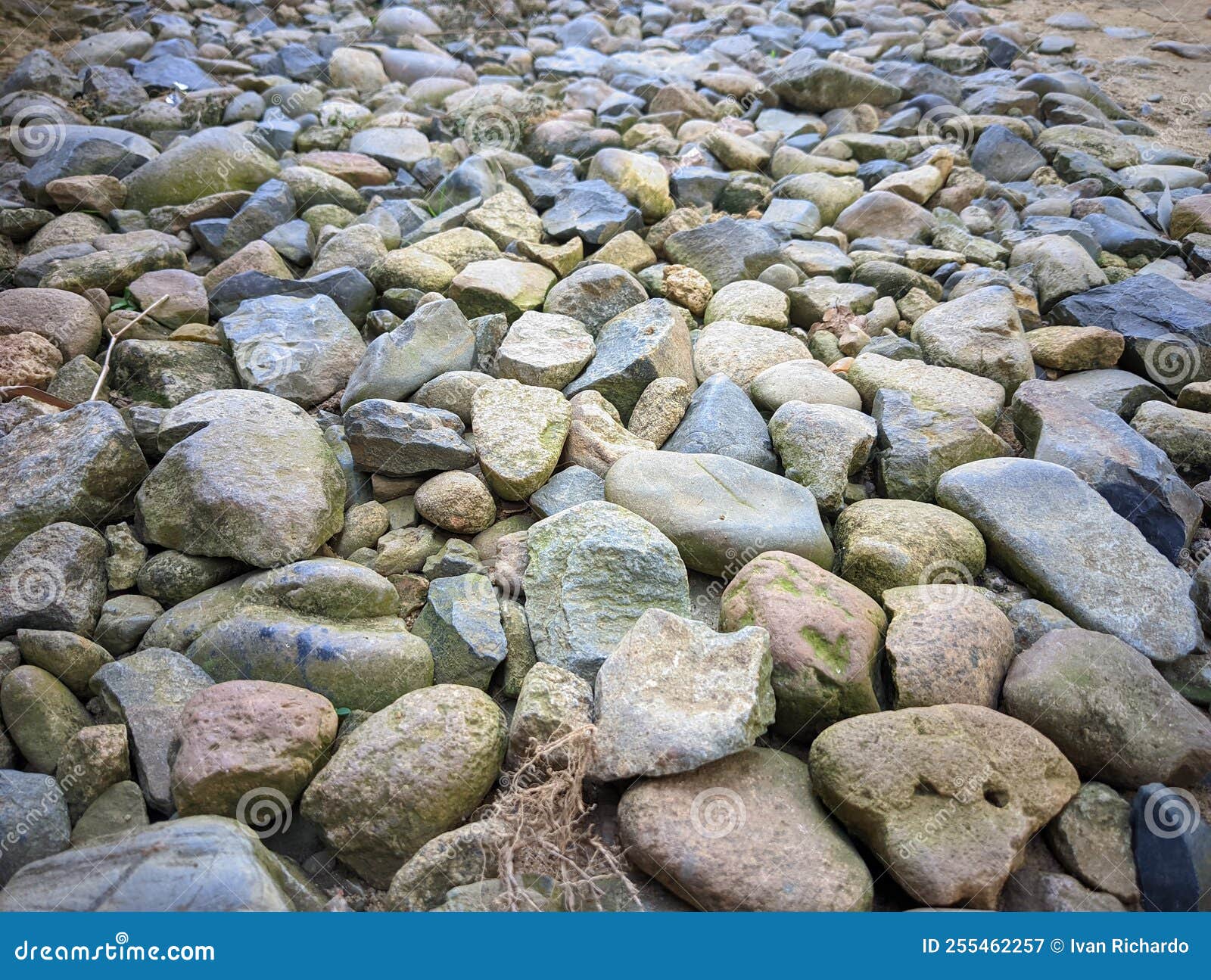 Types de galets image stock. Image du roche, géologie - 255462257