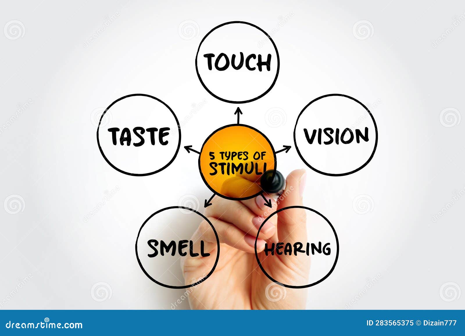 The 5 Types of External Stimuli - Divided into Our Senses: Touch ...