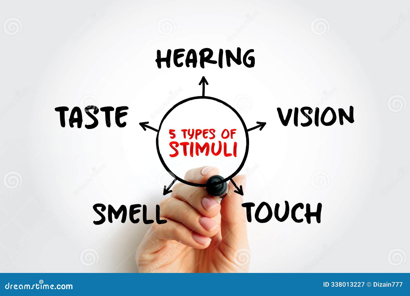 The 5 Types of External Stimuli - Divided into Our Senses: Touch ...
