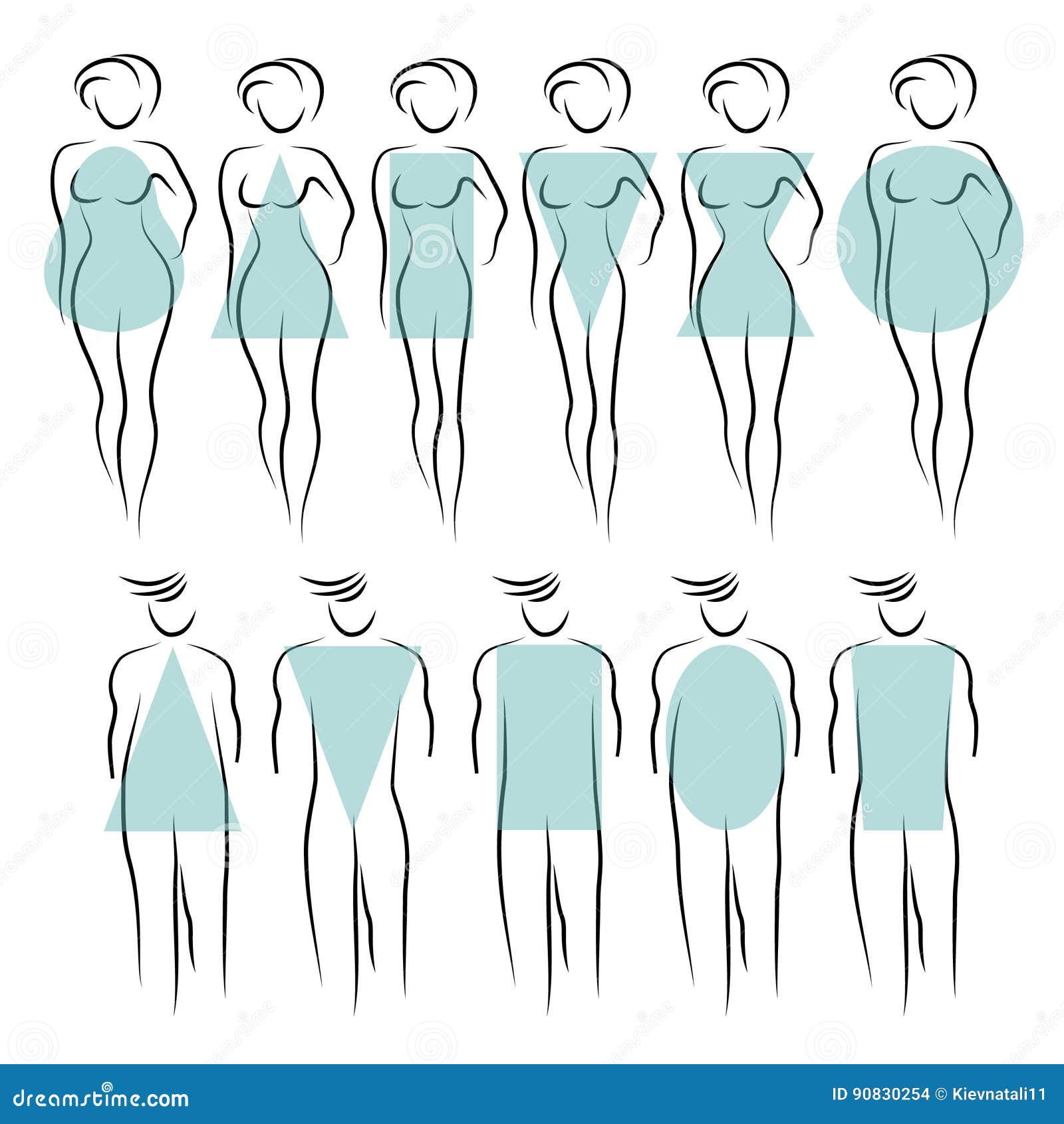 Types Of Female Figure Vector Illustration | CartoonDealer.com #90830254