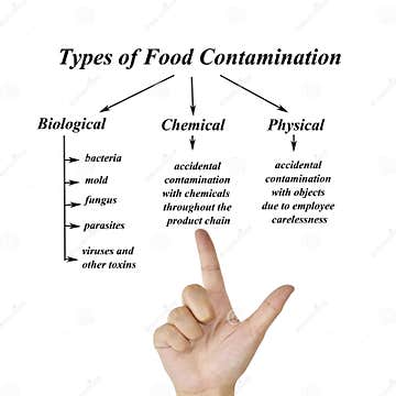 Types of Food Contamination Image for Use in Manufacturing Stock Image ...