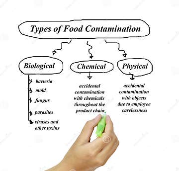Types of Food Contamination Image for Use in Manufacturing Stock Photo ...