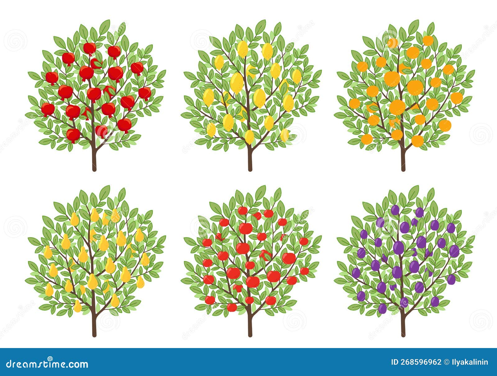 Types of Fruit Trees. Orchard Set. Vector Illustration. Stock ...