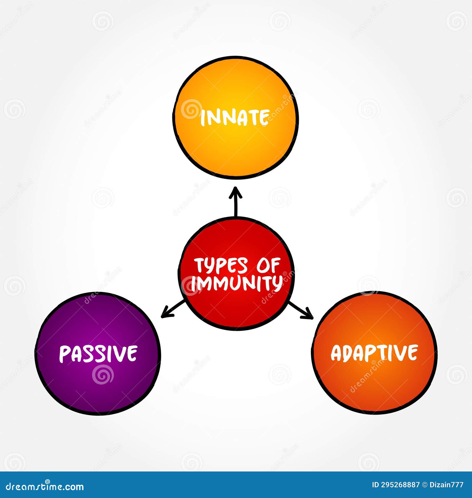 Types of Immunity Mind Map Text Concept for Presentations and Reports ...