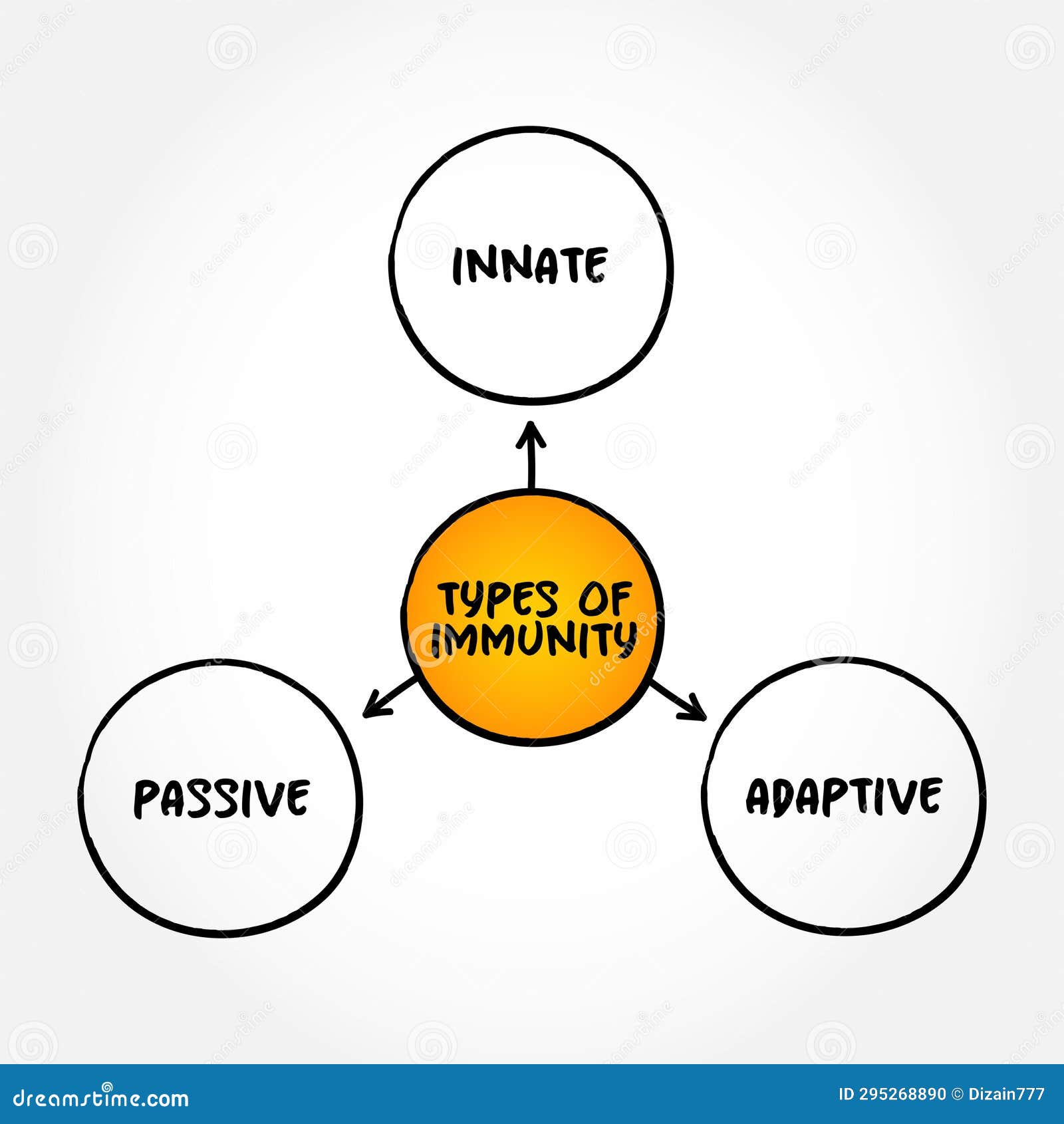 Types of Immunity Mind Map Text Concept for Presentations and Reports ...