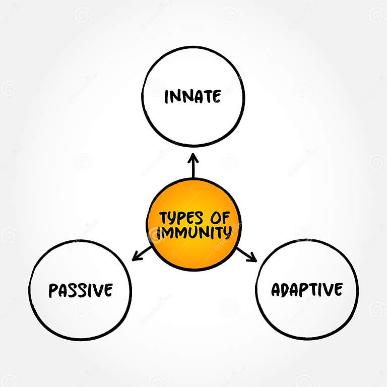 Types of Immunity Mind Map Text Concept for Presentations and Reports ...
