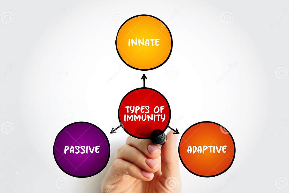 Types of Immunity Mind Map Text Concept for Presentations and Reports ...