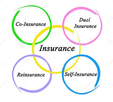Types of Insurance stock illustration. Illustration of type - 85668973