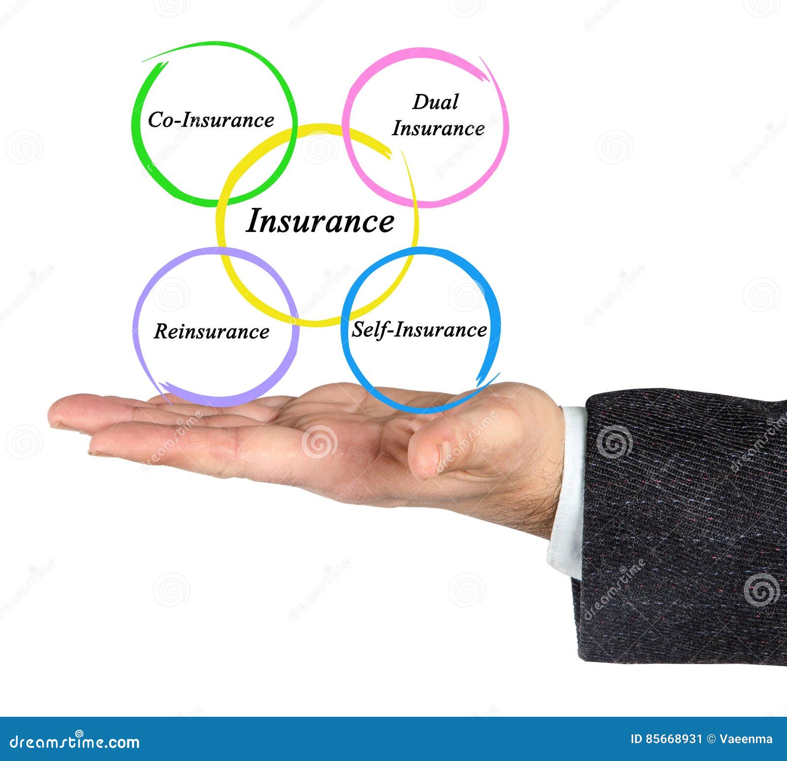 Types of Insurance stock image. Image of insurance, dual - 85668931