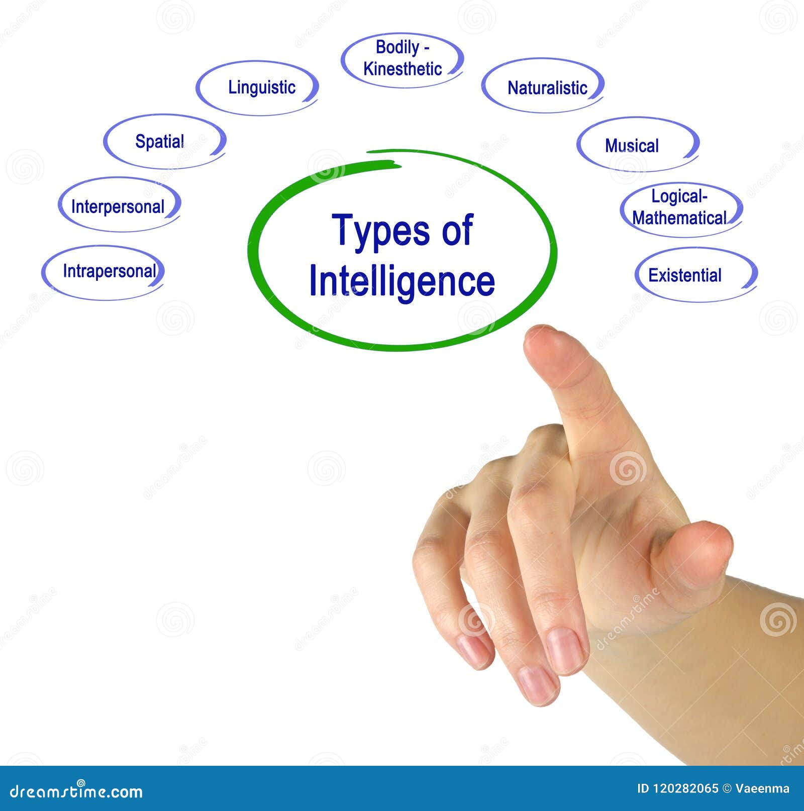 Types of Intelligence stock image. Image of interpersonal - 120282065