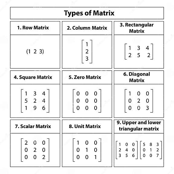 Types of Matrix. Vector Illustration. on White Backround Stock Vector ...