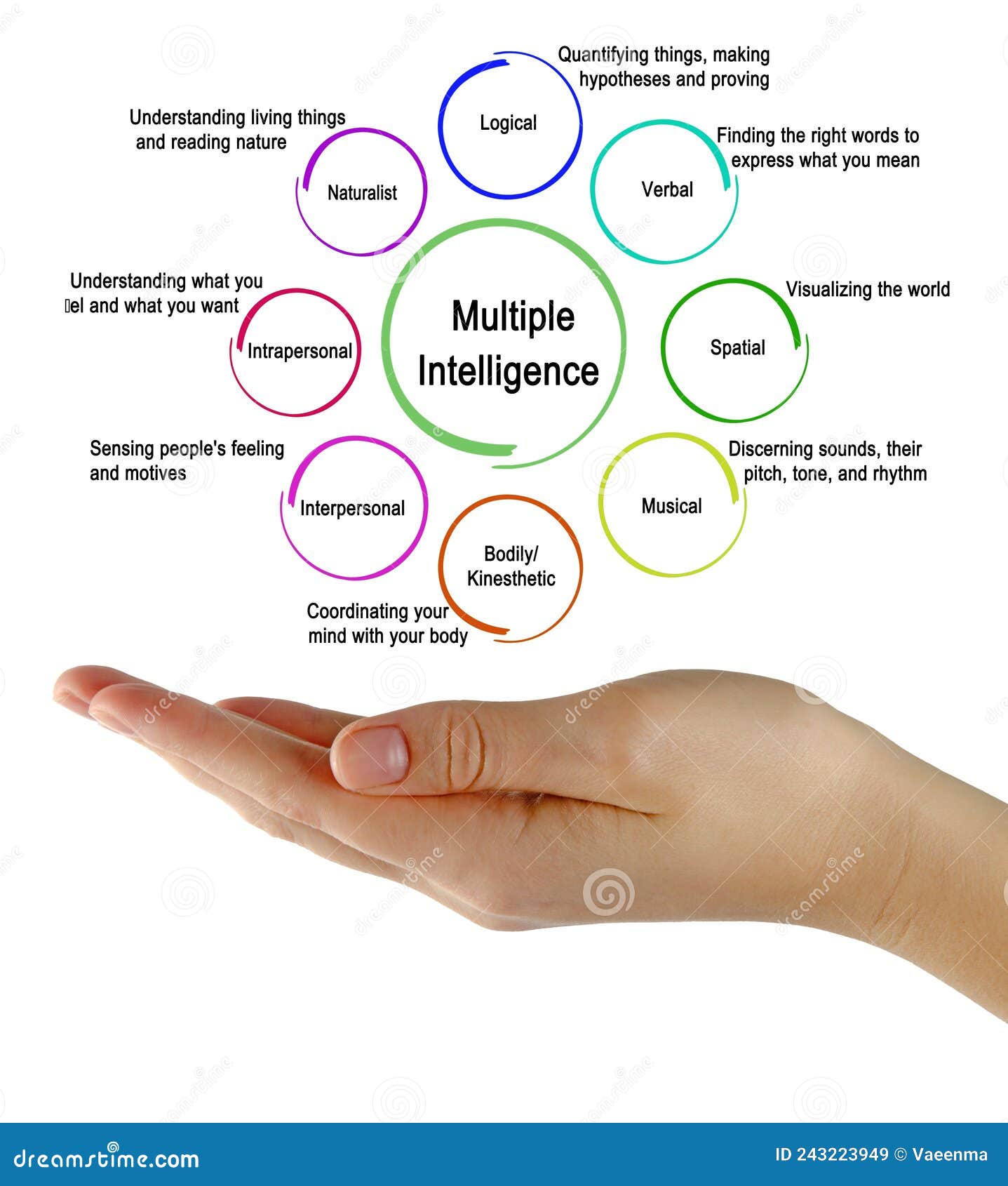Types of Multiple Intelligence Stock Image - Image of multiple ...