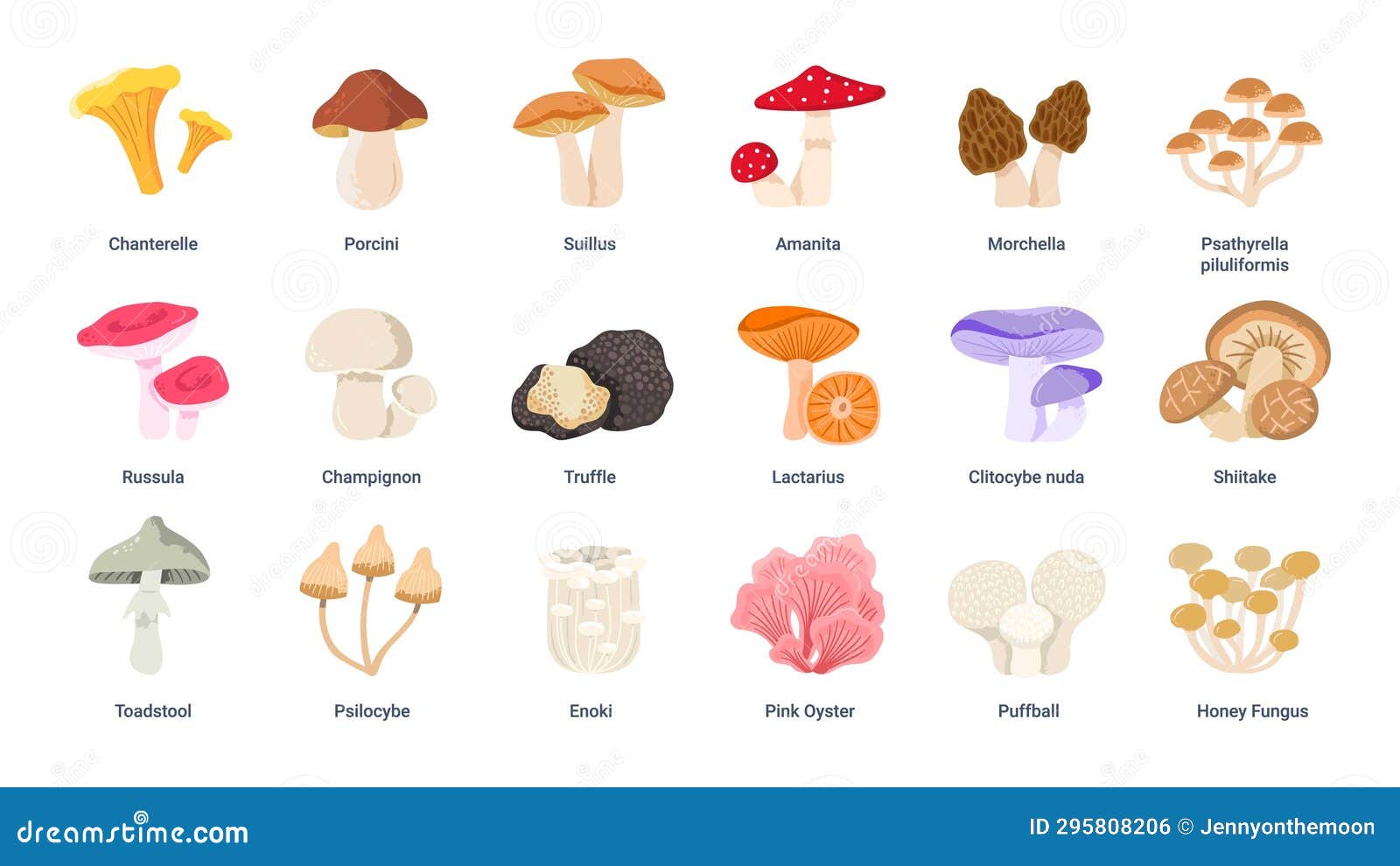 Types of Mushrooms. Edible and Poisonous, Wild Forest Mushrooms. Vector ... Types of Mushrooms. Edible and Poisonous, Wild Forest Mushrooms. Vector ...