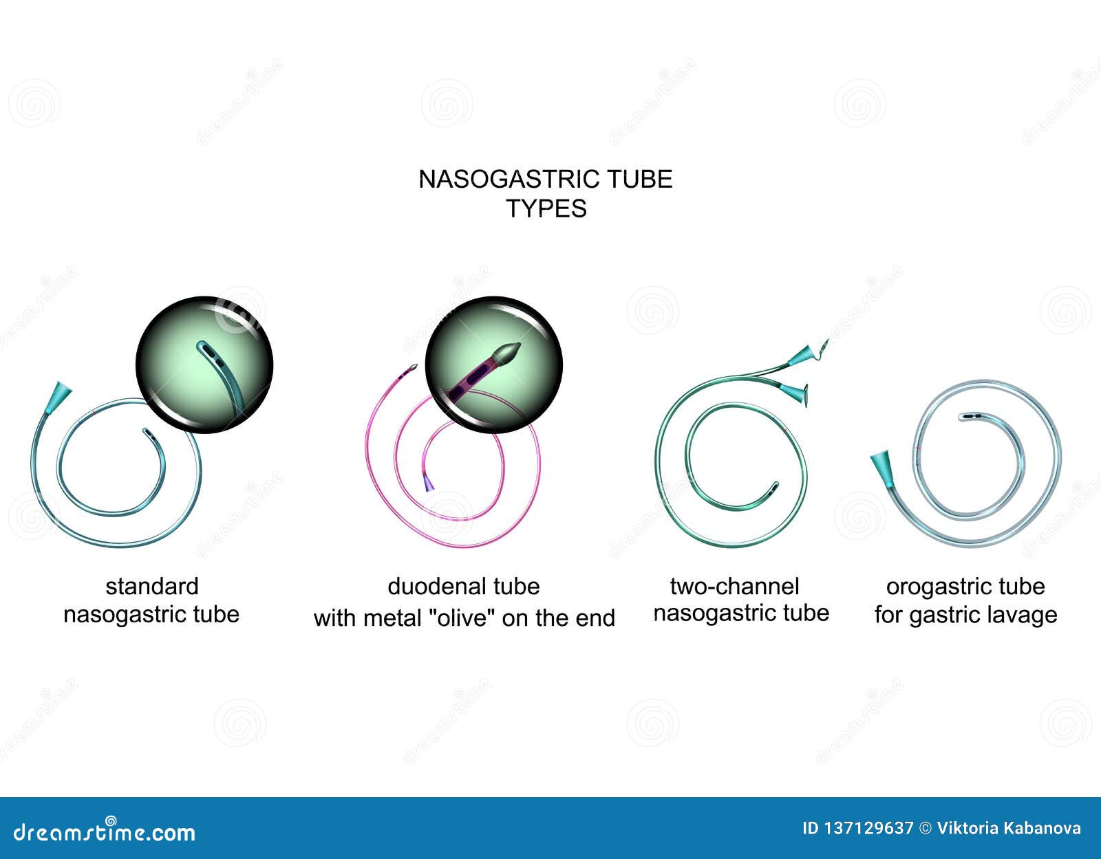Types of nasogastric tubes stock vector. Illustration of human - 137129637