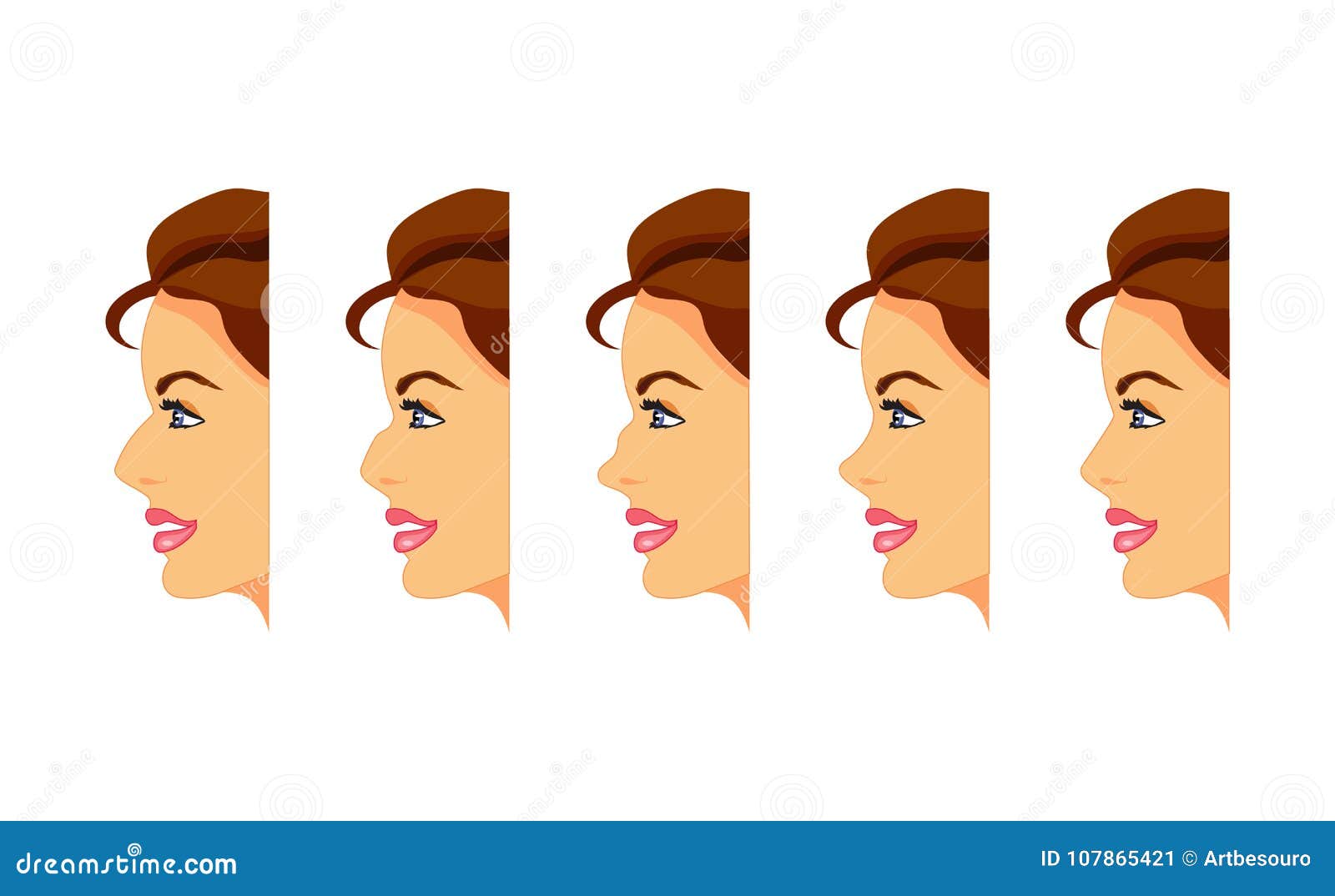 Female Nose Types