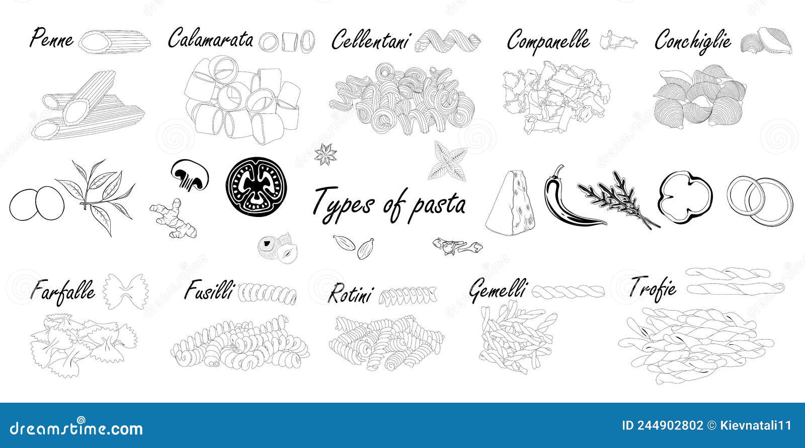 Types of Pasta. Short Pasta Difference, Illustration Example with ...