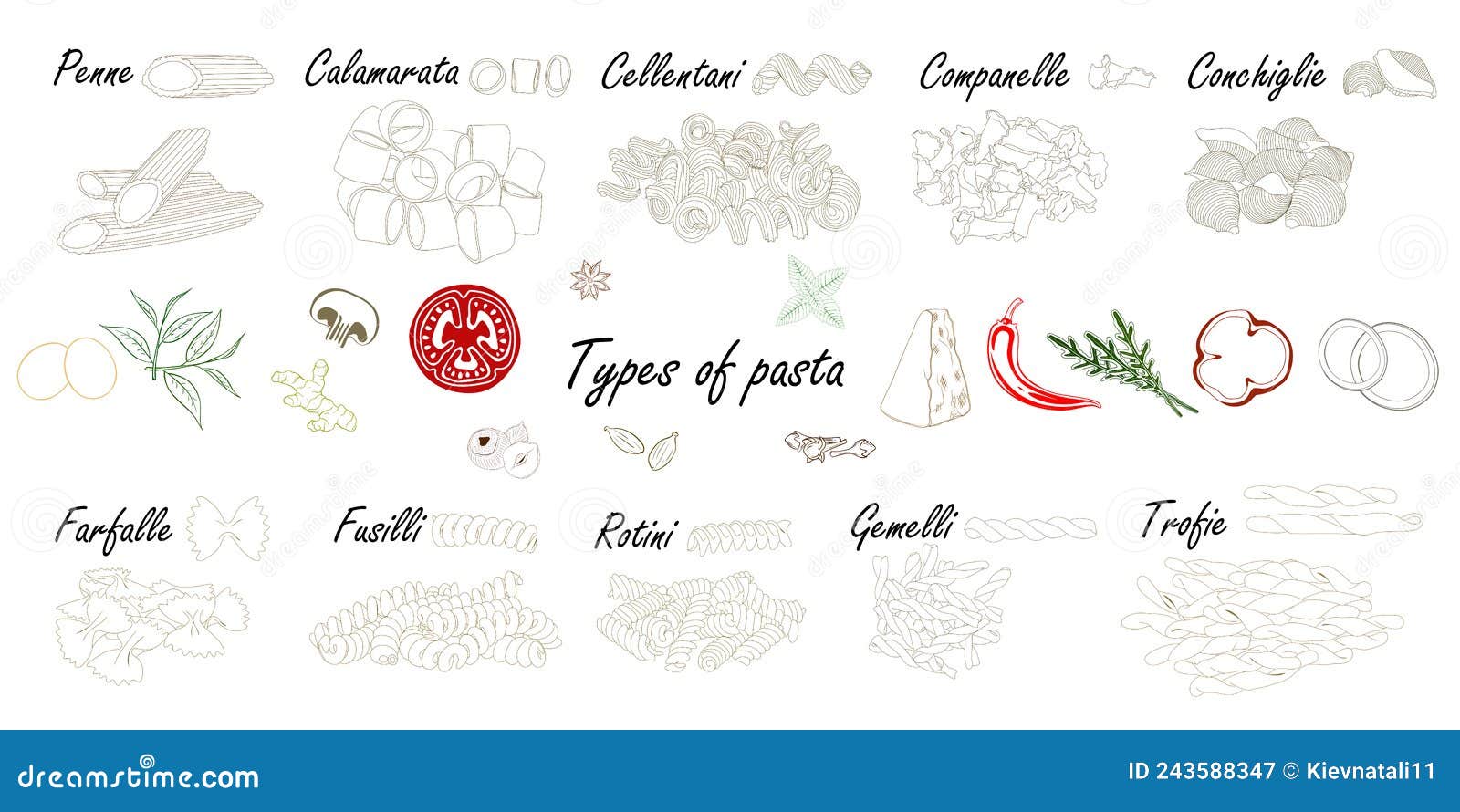 Types of Pasta. Short Pasta Difference, Illustration Example with ...