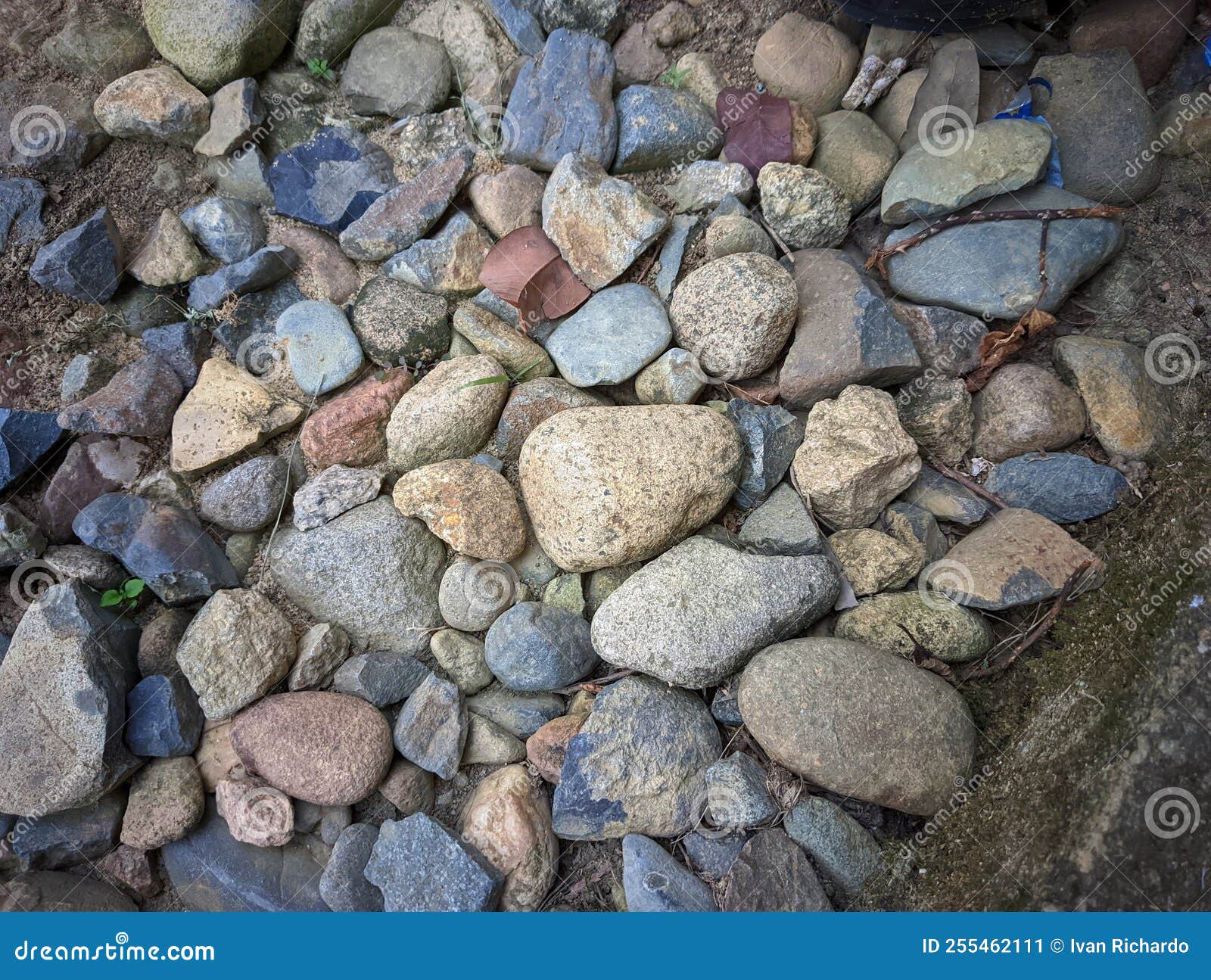 Types of pebbles stock image. Image of bedrock, asphalt - 255462111