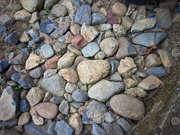Types of pebbles stock image. Image of bedrock, asphalt - 255462111