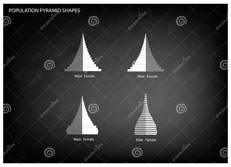The 4 Types of Population Pyramids Graphs Stock Vector - Illustration ...