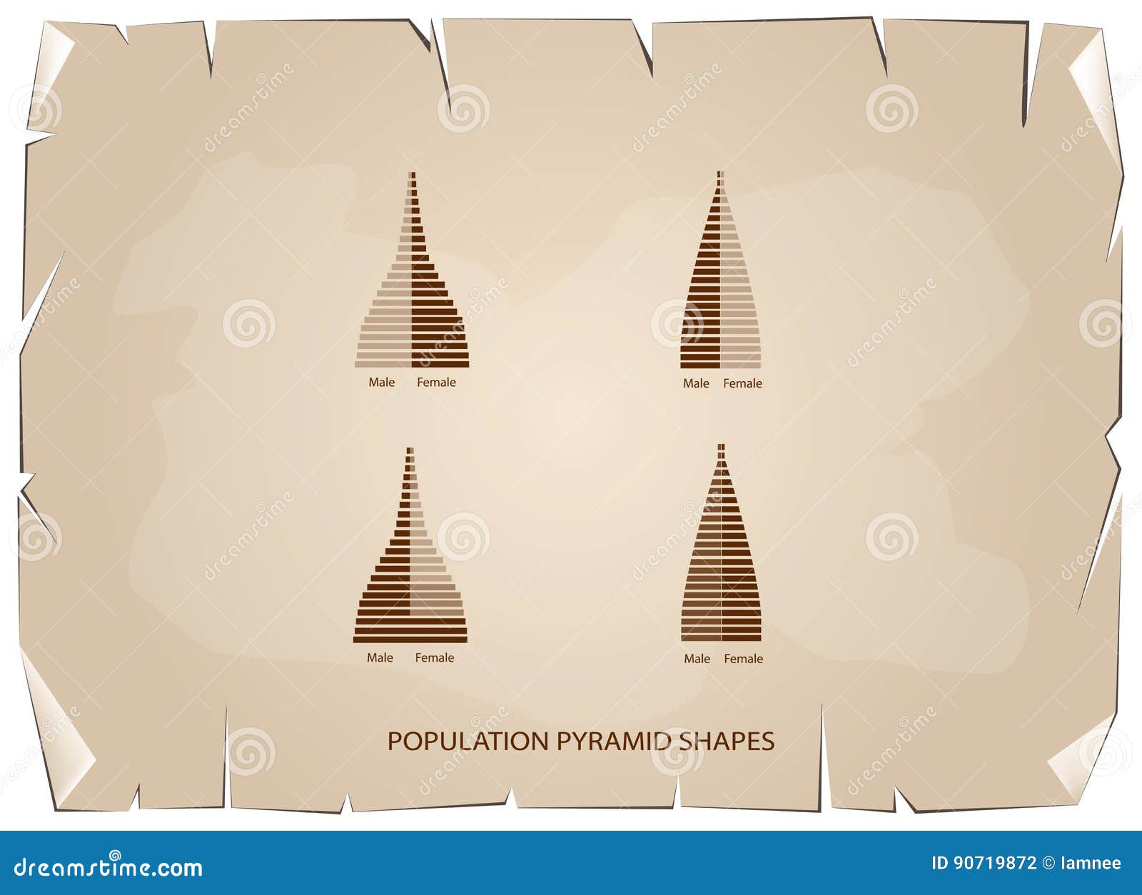 The 4 Types Of Population Pyramids Graphs Vector Illustration ...
