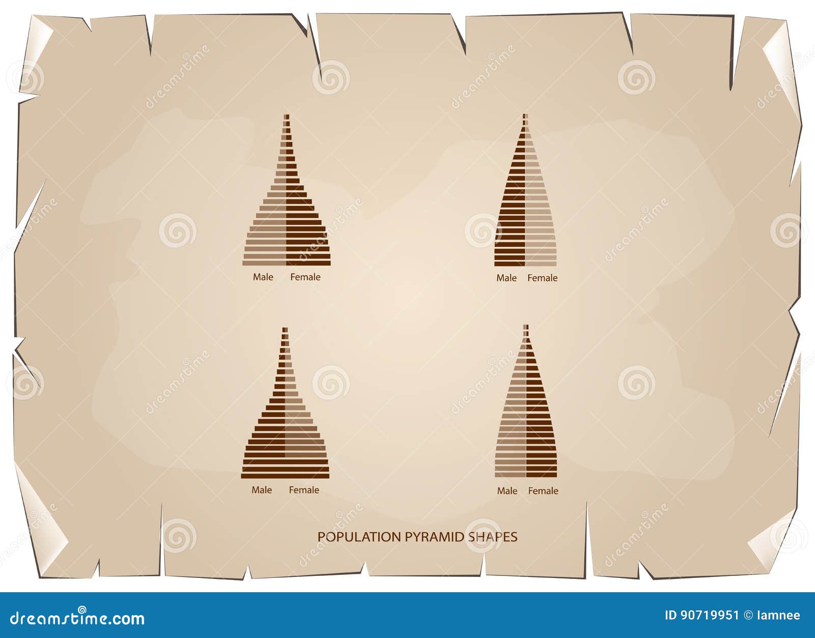The 4 Types of Population Pyramids Graphs Stock Vector - Illustration ...
