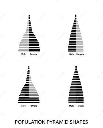 The 4 Types of Population Pyramids Graphs Stock Vector - Illustration ...