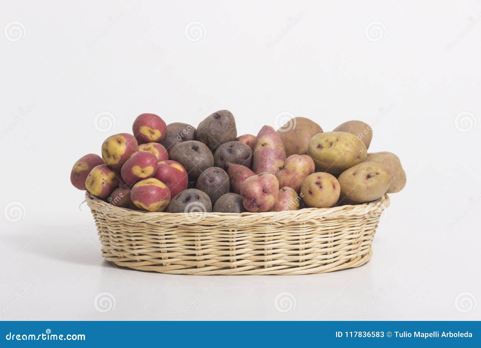Types of Potatoes - Peruvian Potatoes Still Life Stock Image - Image of ...
