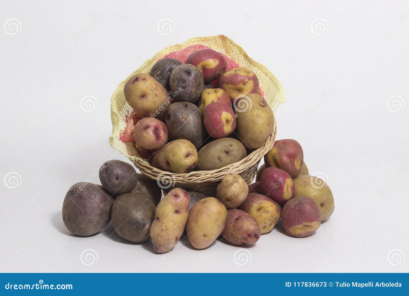 Types of Potatoes - Peruvian Potatoes Still Life Stock Image - Image of ...