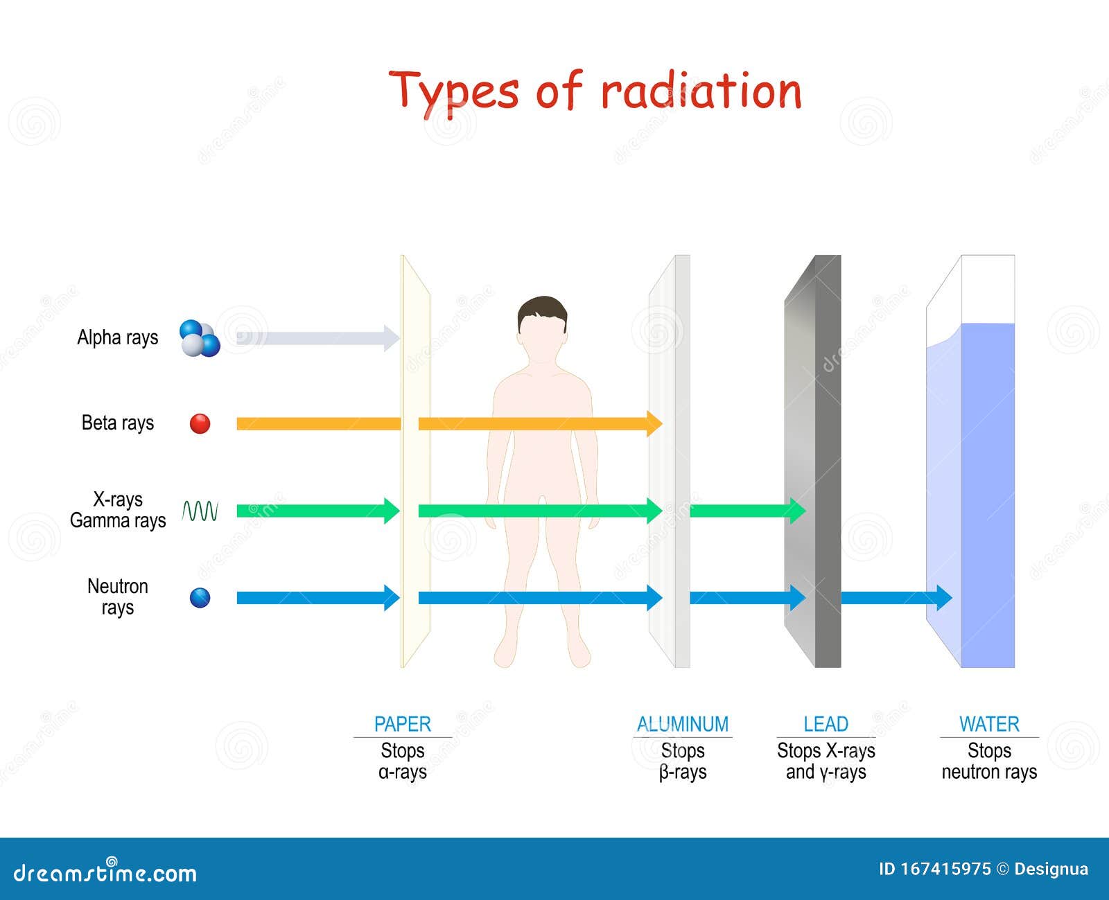 Types of Radiation. Penetrating Power through Paper, Human, Aluminum ... Types of Radiation. Penetrating Power through Paper, Human, Aluminum ...