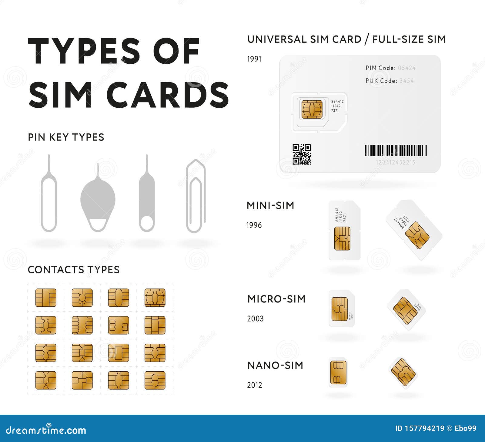 Types of SIM Cards. Colored Vector Illustration. Icon. Stock Vector ...