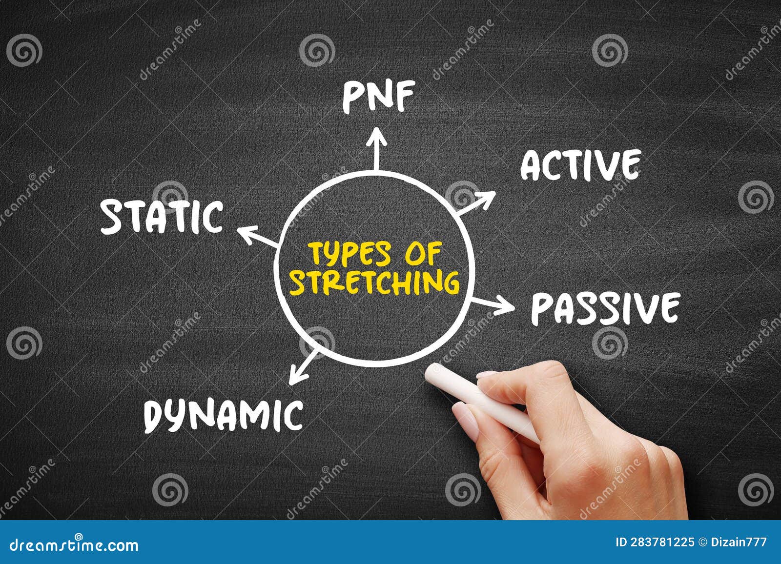 Types of Stretching (form of Physical Exercise in Which a Specific ...
