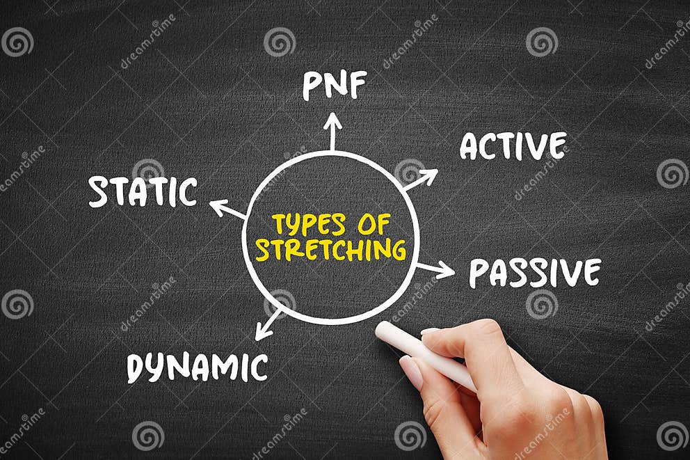 Types of Stretching (form of Physical Exercise in Which a Specific ...