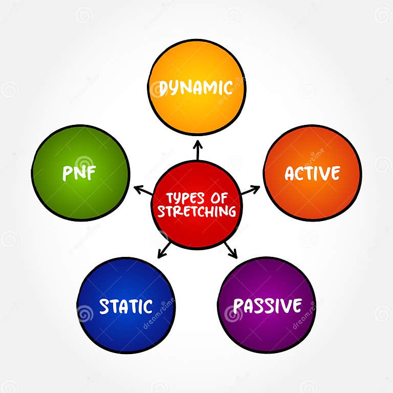 Types of Stretching - Form of Physical Exercise in Which a Specific ...